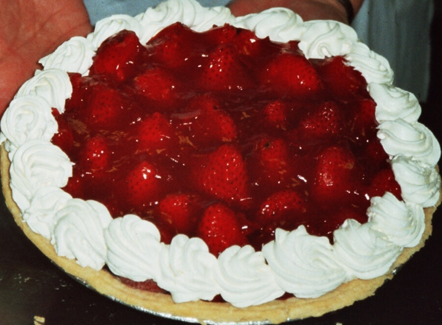 Pine Tree Apple Orchard | Strawberries - Pick your own, Picked for you ...